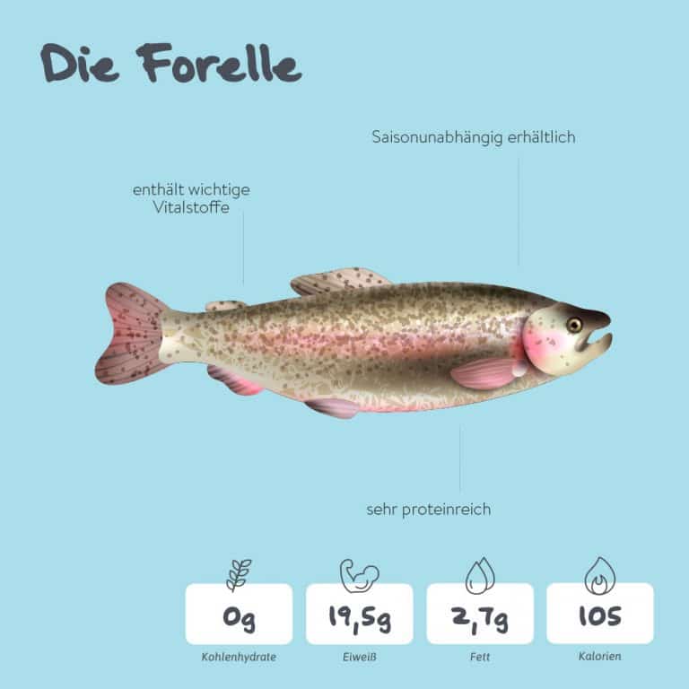 Die Forelle - Essen ohne Kohlenhydrate