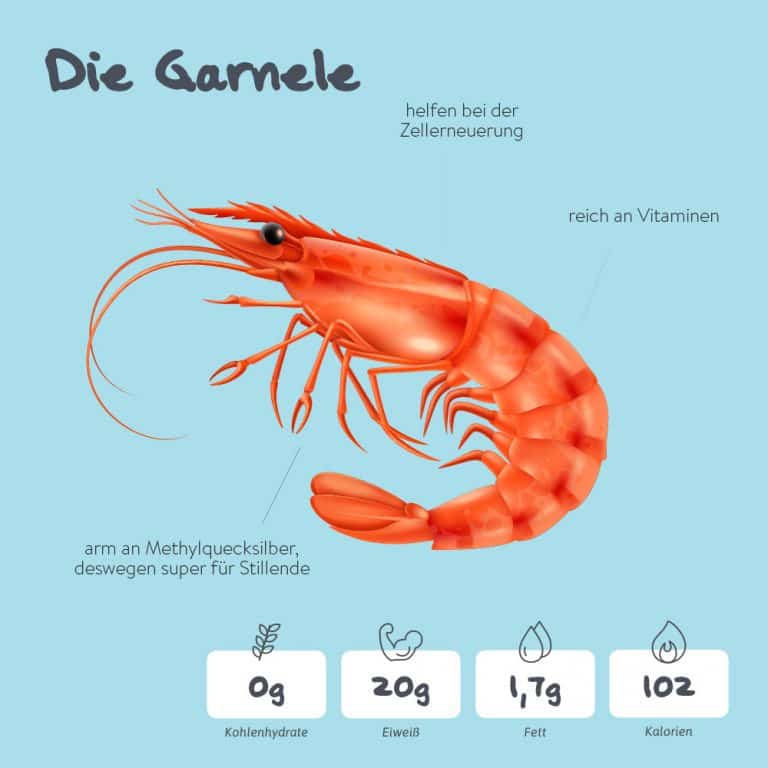 Die Garnele - Essen ohne Kohlenhydrate