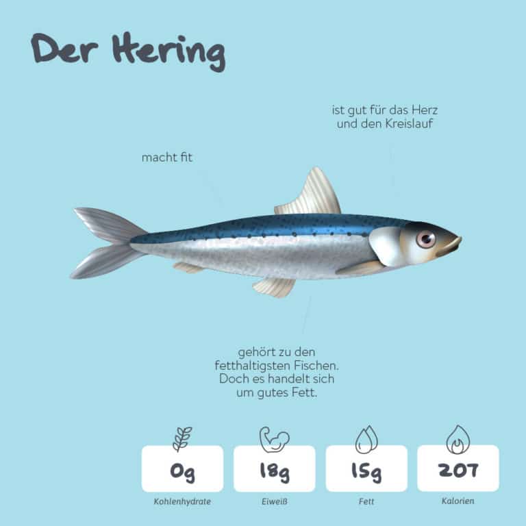 Der Hering - Essen ohne Kohlenhydrate
